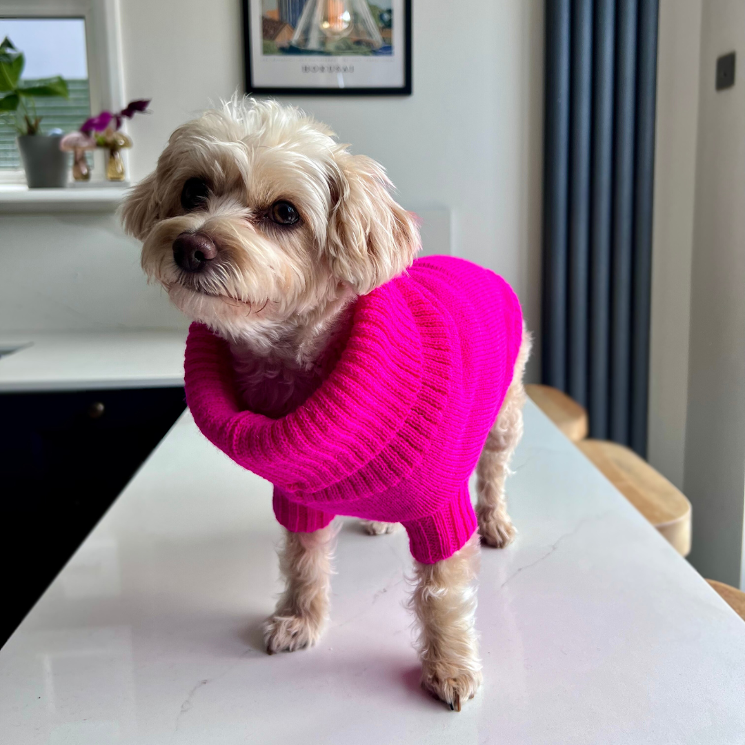 Fandango Pink British Wool Dog Jumper| Sustainable & British Made – WAG ...
