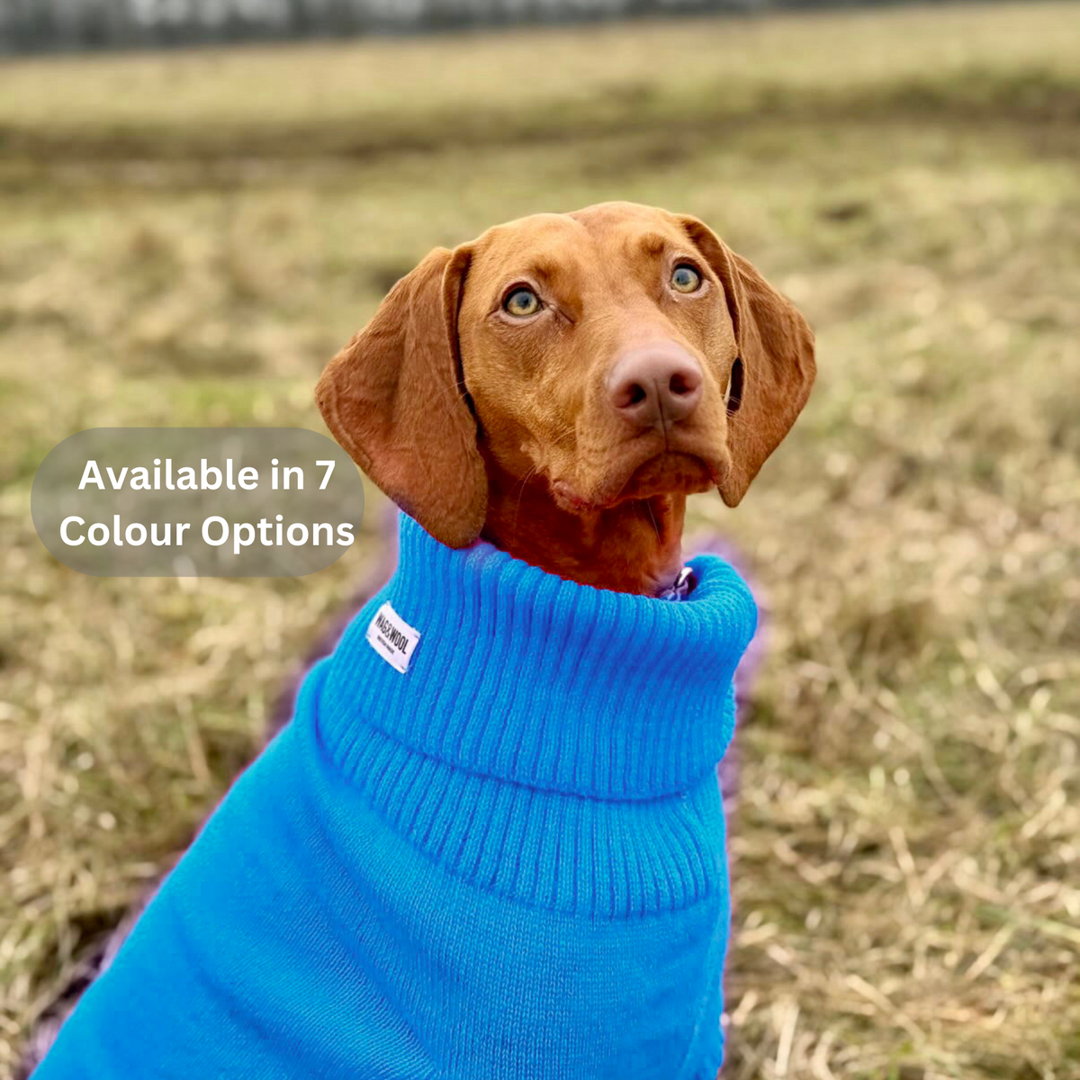 Extra Large British Wool Dog Jumper – WAG&WOOL™
