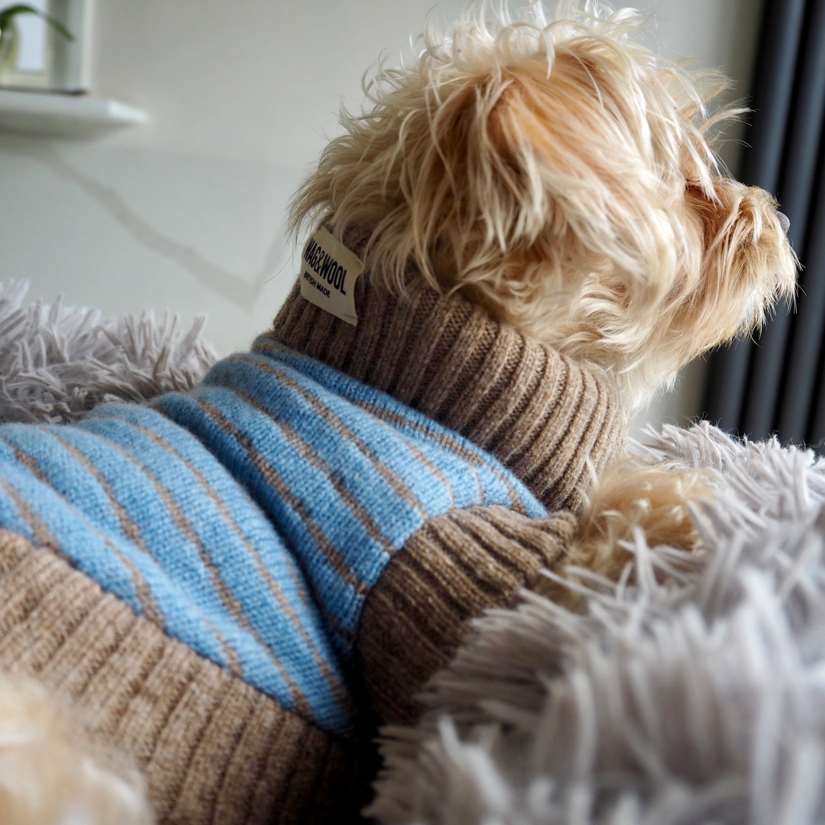 Stripe Blue Dog Jumper In Pure Wool | Sustainable & British Made – WAG ...