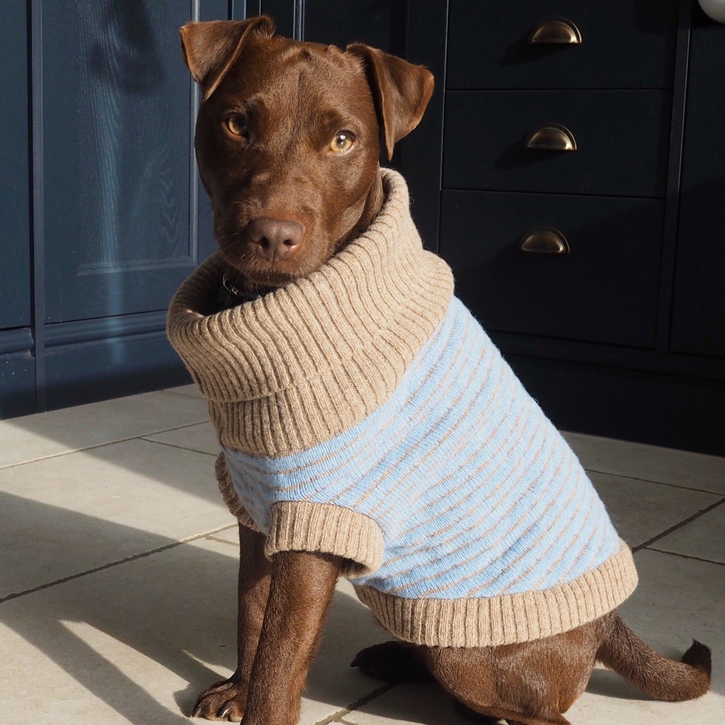 Stripe Blue Dog Jumper In Pure Wool | Sustainable & British Made – WAG ...